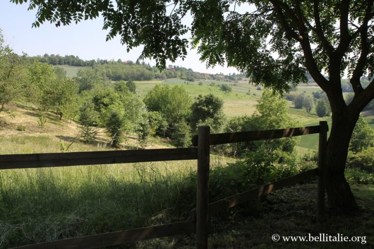 Collines turinoises - Bellitalie